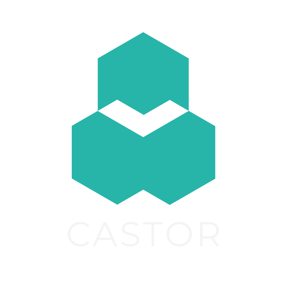 Project Castor | Platform engineering, done for you.