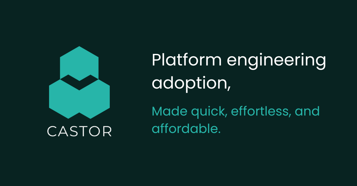 Project Castor | Platform engineering, done for you.